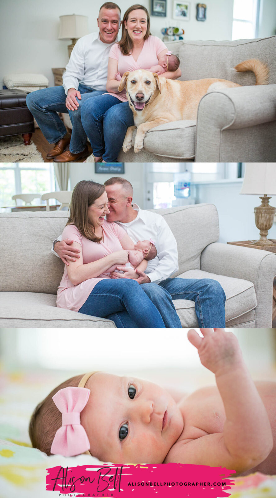 7 Things Mama Must Know About Newborn Session Photography - Alison Bell ...